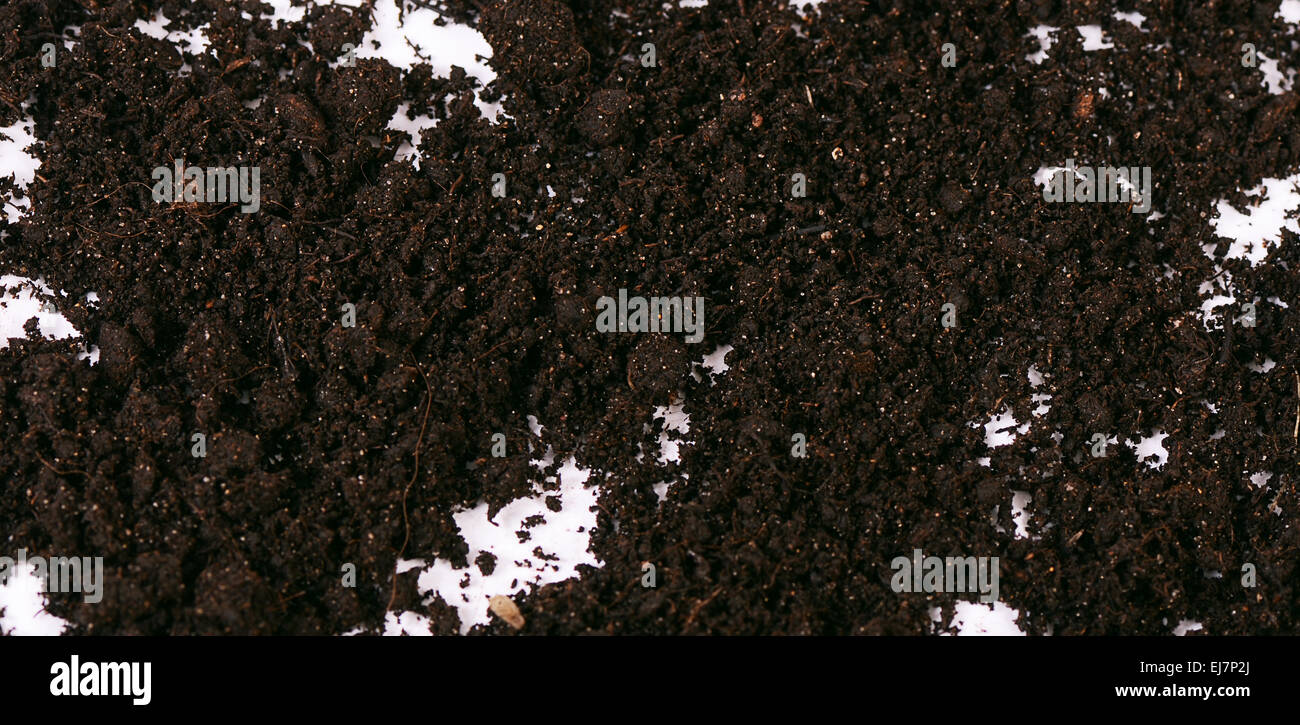 Black ground close up isolated on white Stock Photo - Alamy