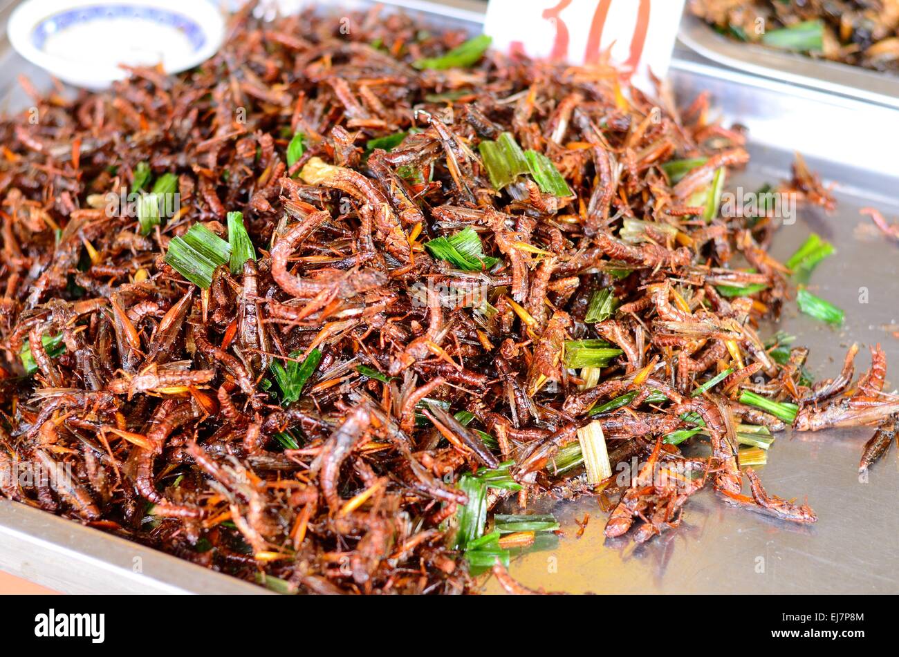Fried Grasshoppers