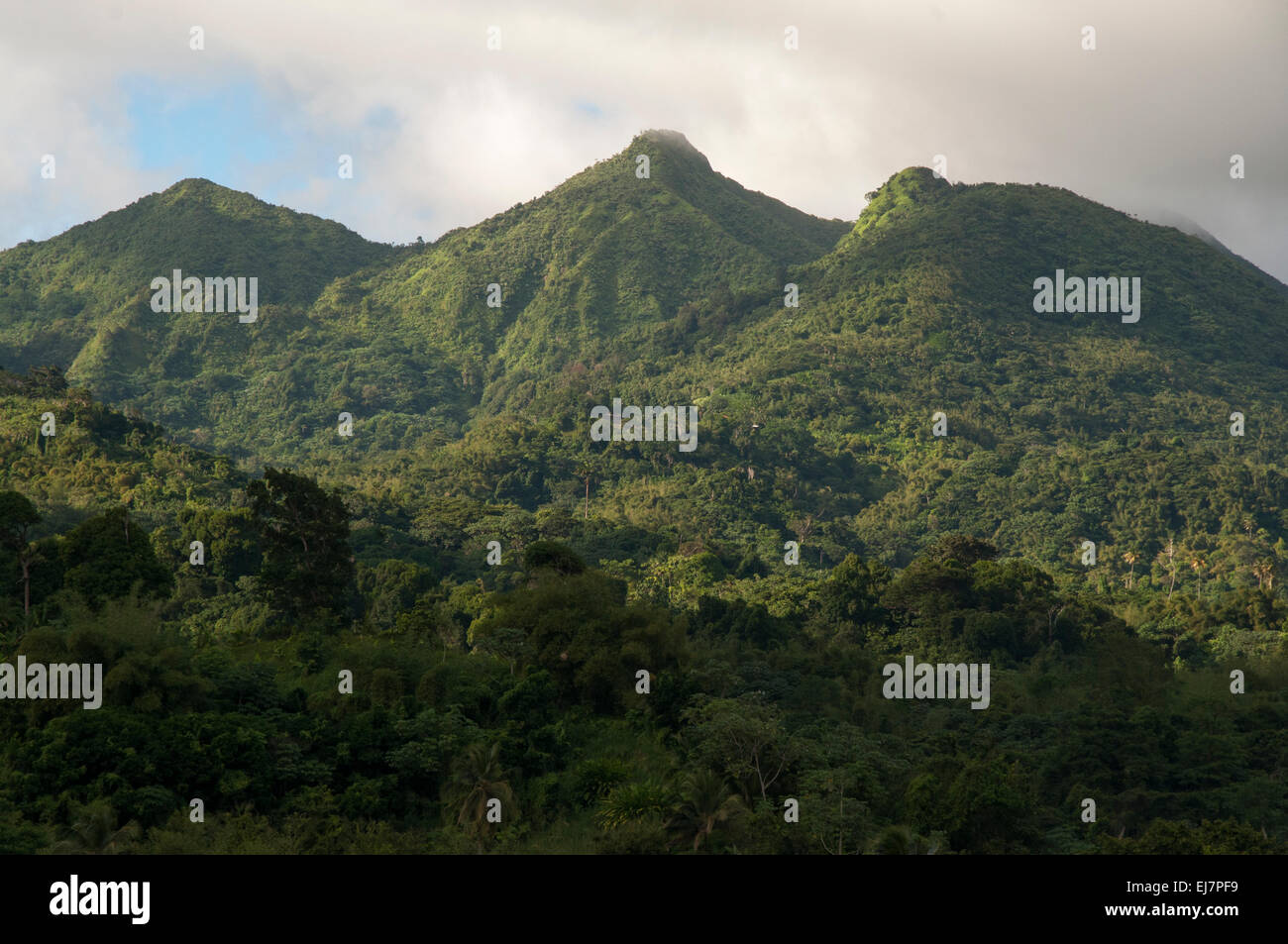 In the central part of Grenada Grand Etang National Park was ...