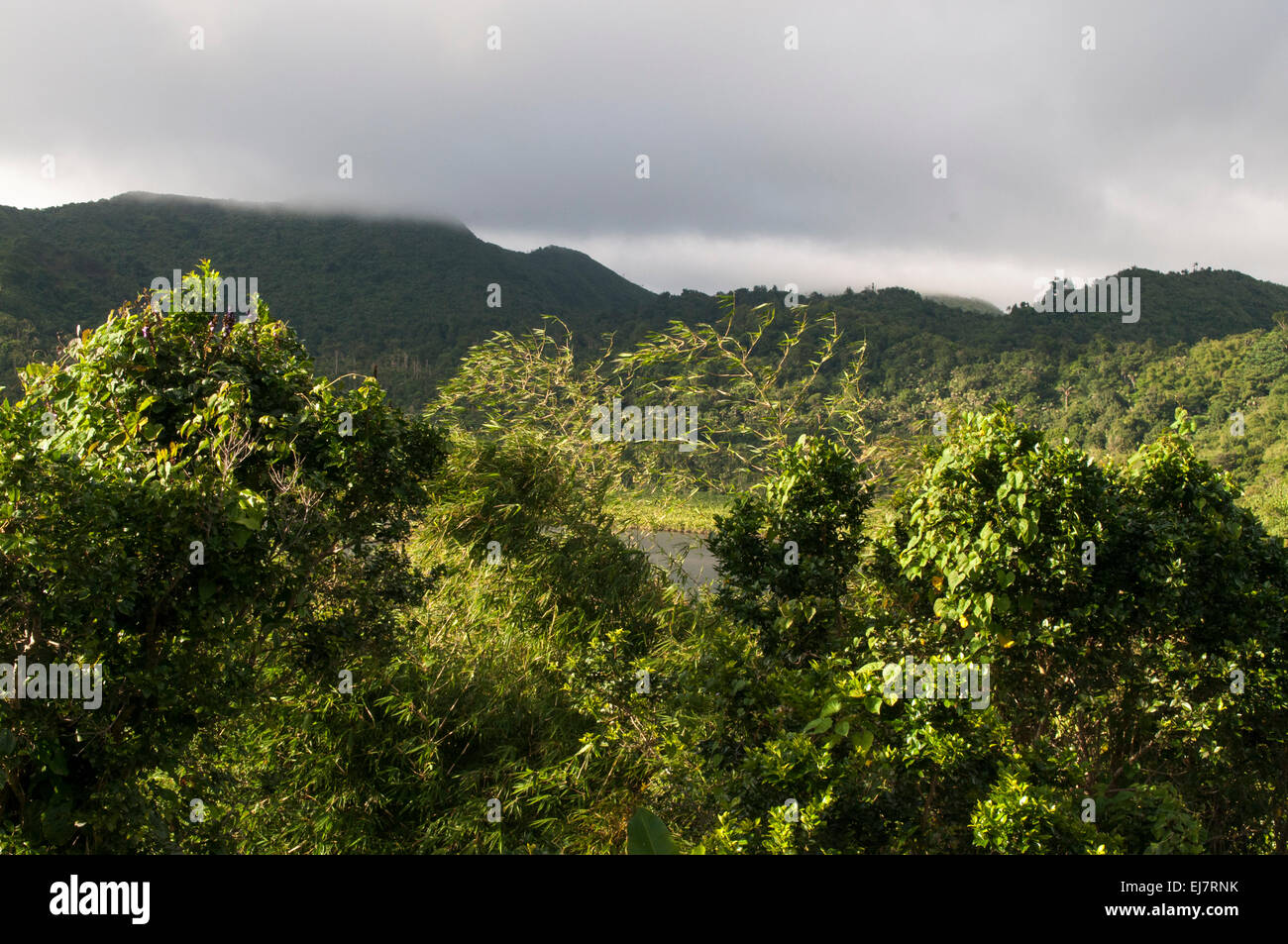 In the central part of Grenada Grand Etang National Park was ...