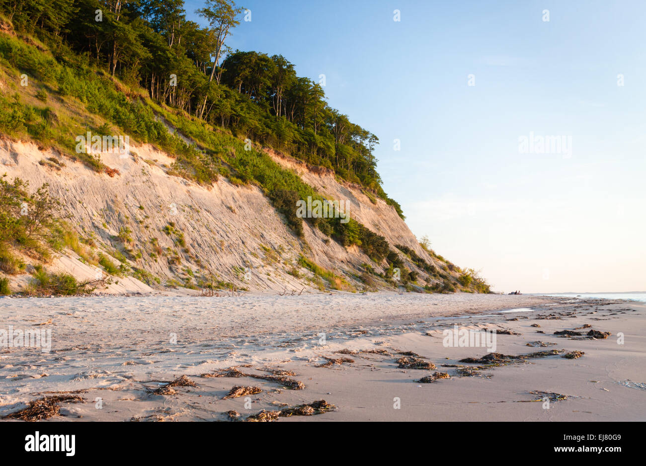 Baltic Sea shore beach in Wolin National Park, Pomerania, Poland ...