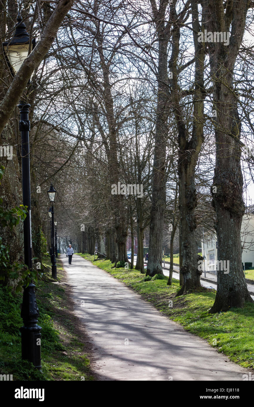 Town Walks, The Grove, Dorchester, Dorset, England, UK Stock Photo - Alamy