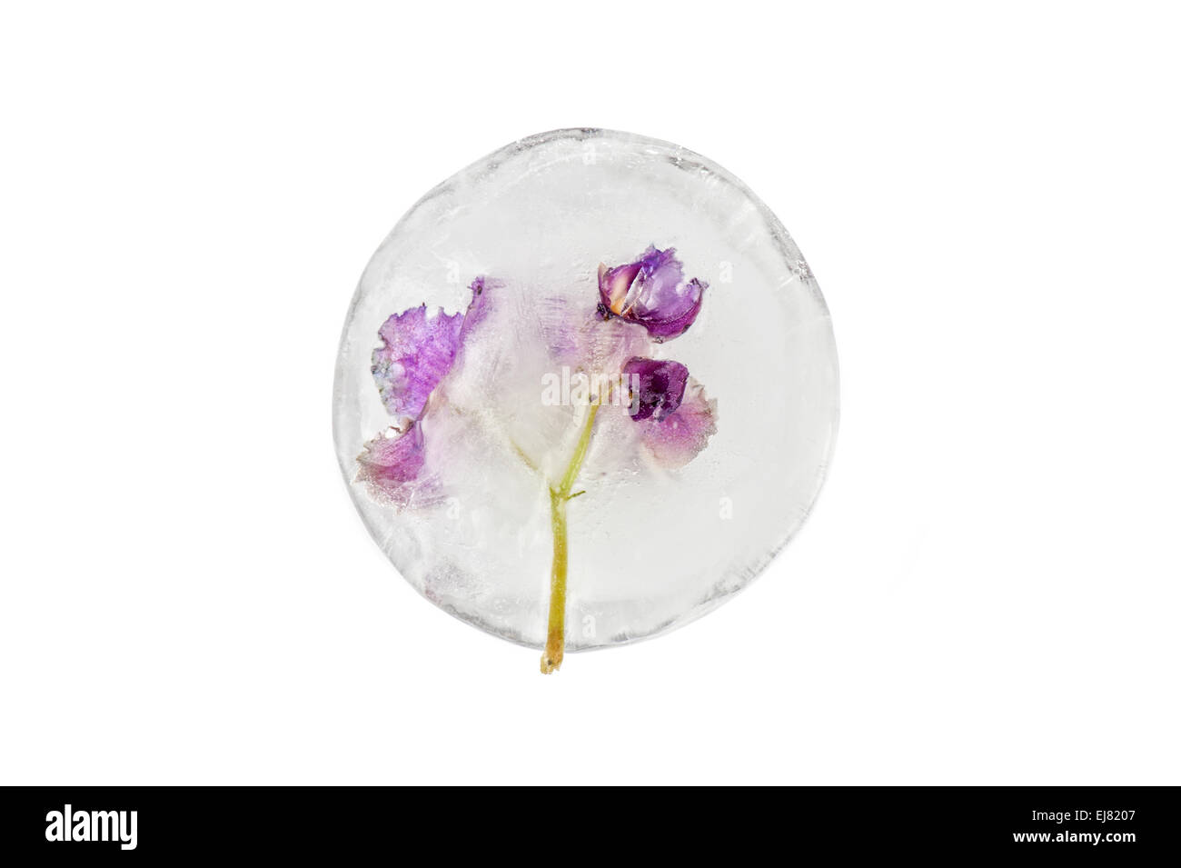 Sunlight ice Cut Out Stock Images & Pictures - Alamy