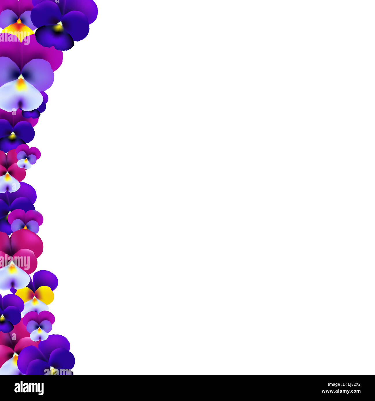 Violet Flowers Border Stock Photo - Alamy