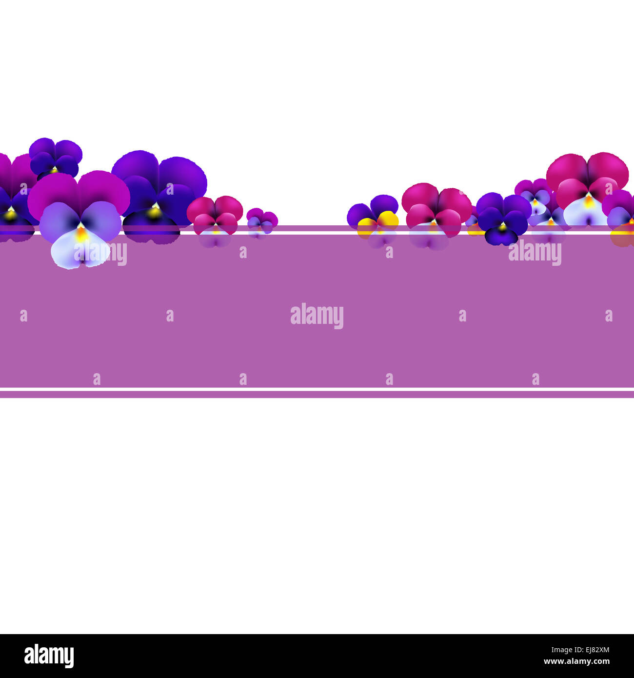 Violet Banner With Flowers Stock Photo - Alamy