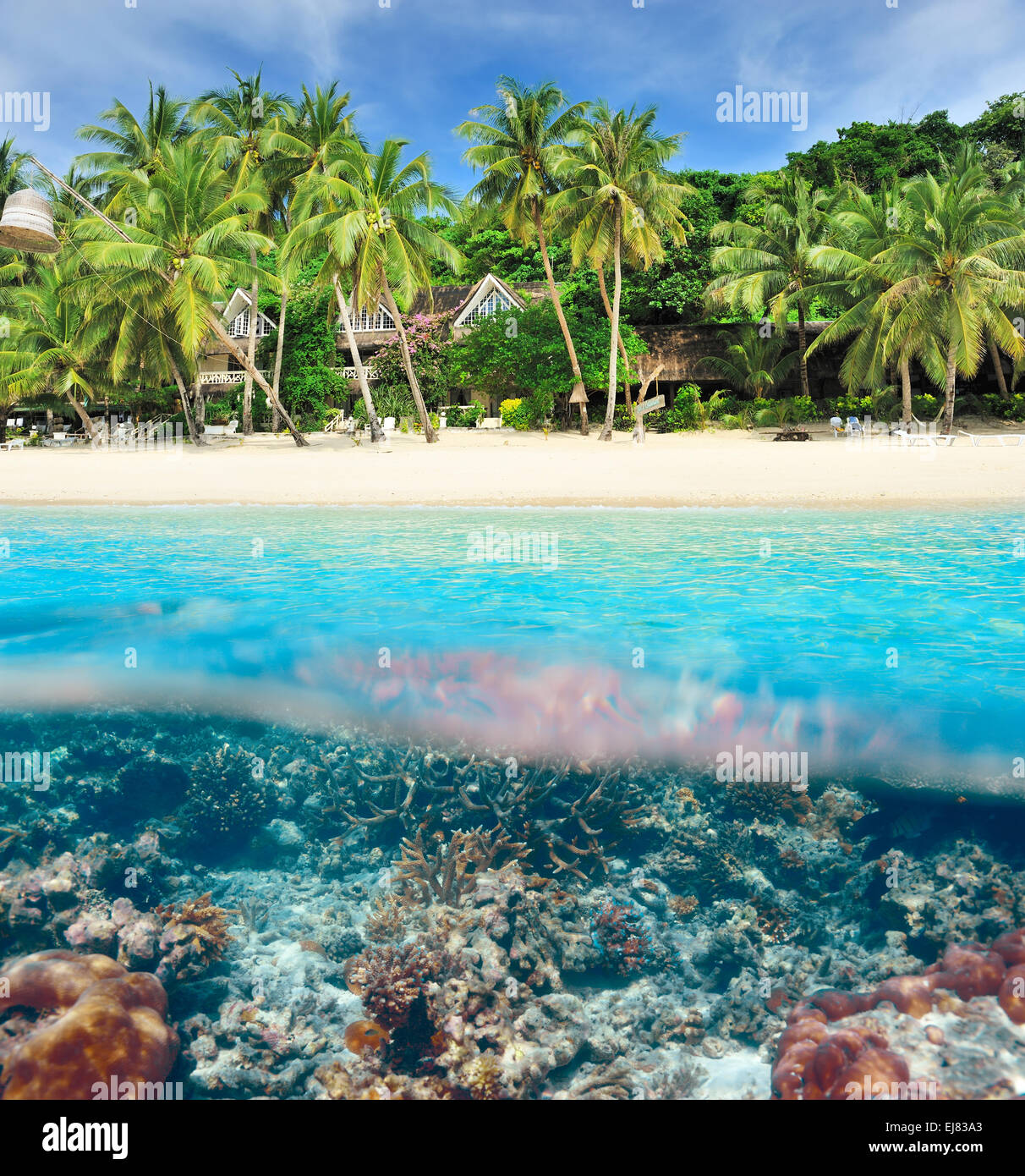 Underwater above beach split view hi-res stock photography and images ...