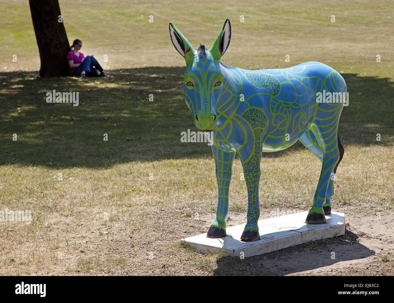Painted donkey, Wesel, Germany Stock Photo - Alamy
