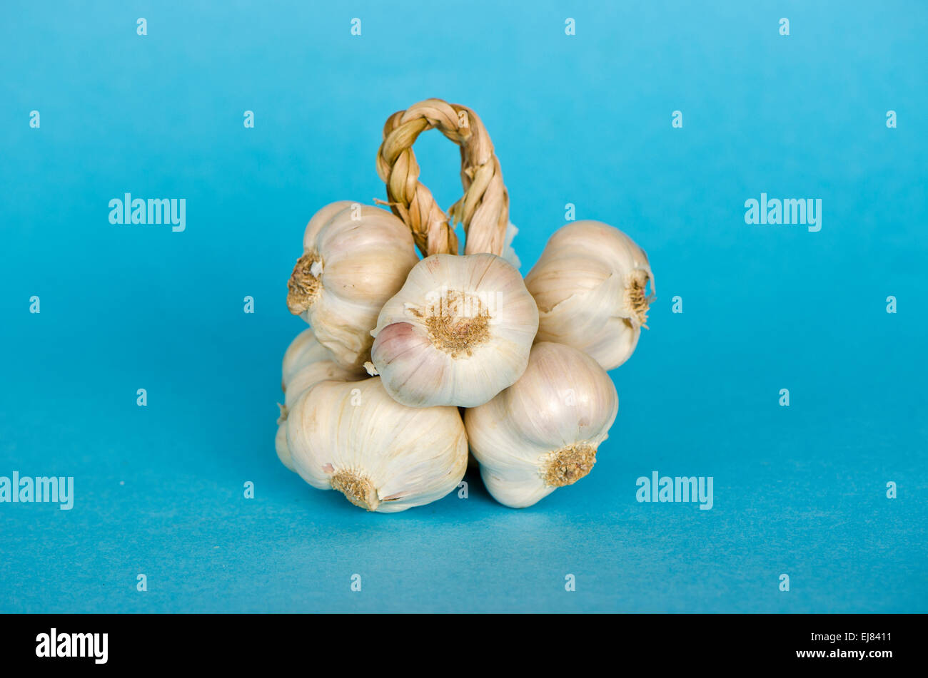 healthy garlic vegetable bulb bunch on blue background Stock Photo - Alamy