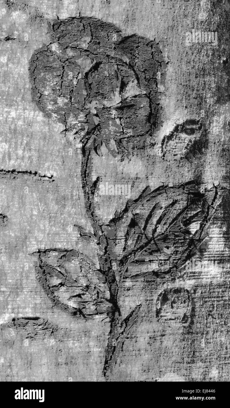 Tree black symbol on hi-res stock photography and images - Alamy