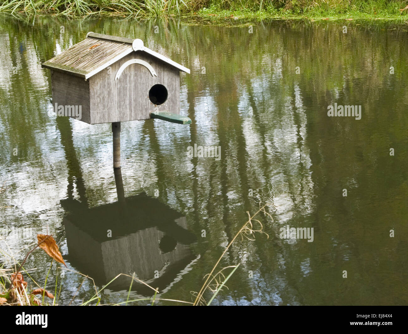Nest box by pond hi-res stock photography and images - Alamy