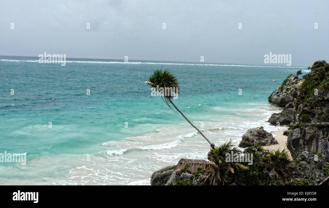 Beautiful beach of Tulum Stock Photo - Alamy