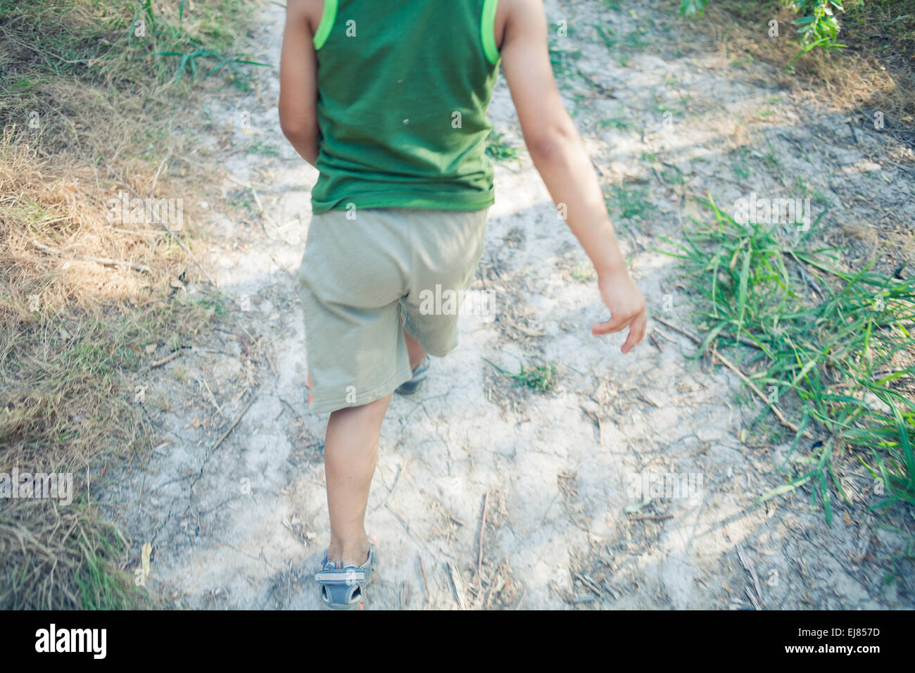 Child walking alone forest hi-res stock photography and images - Alamy