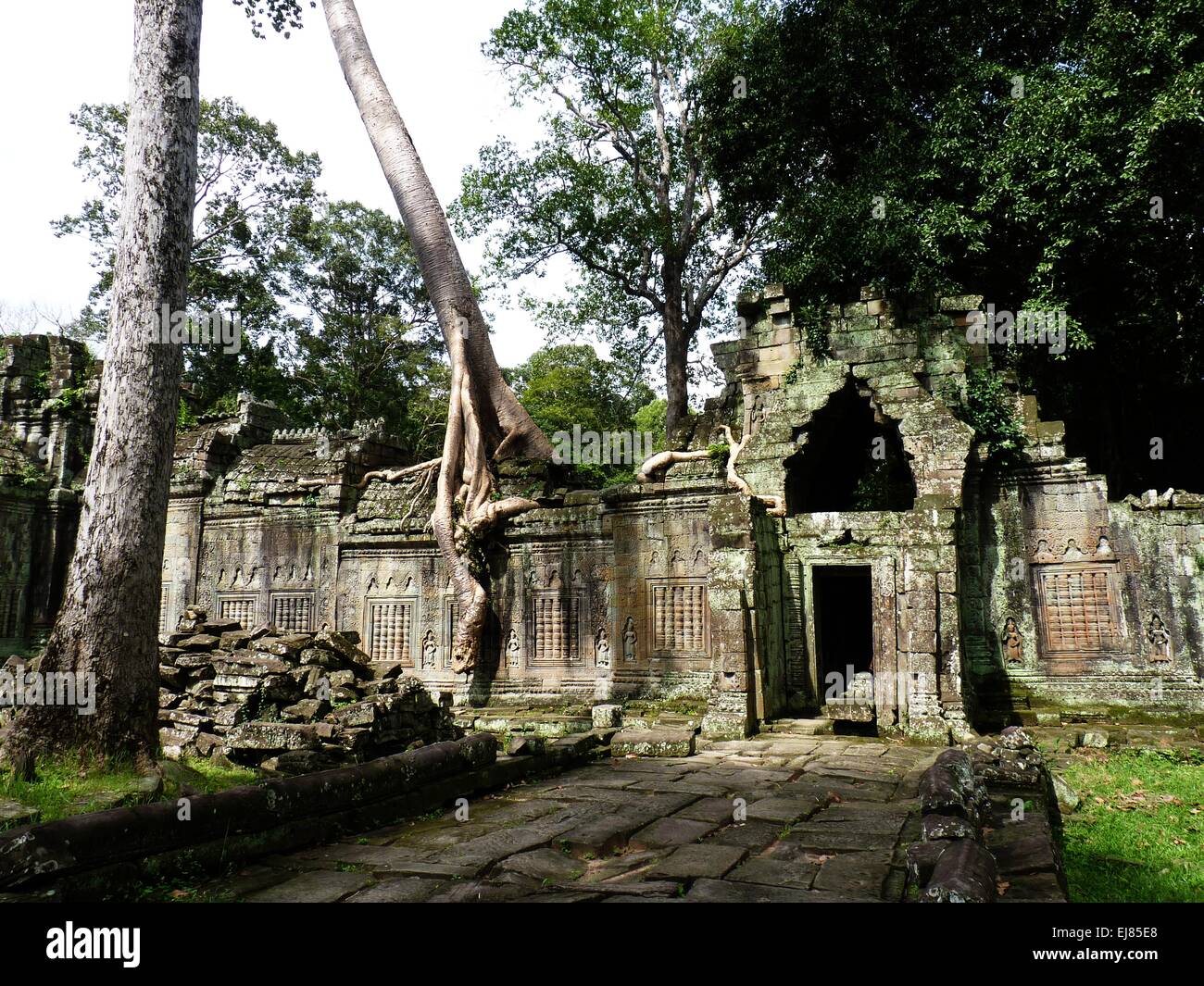 Ta Prohm ruins temple Stock Photo - Alamy