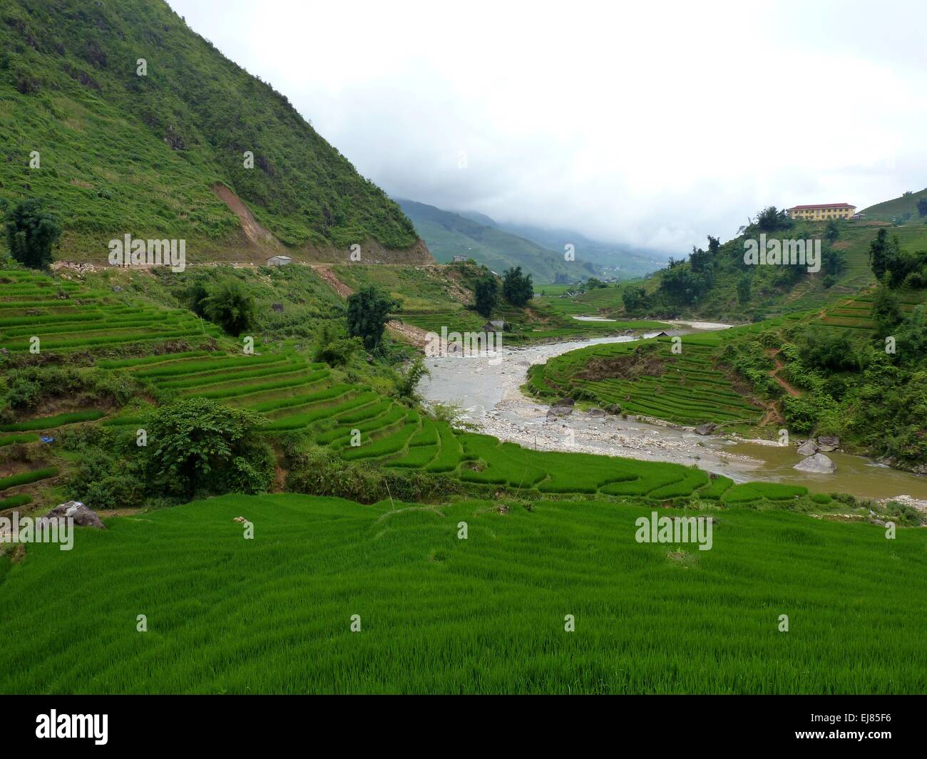 Rough fields hi-res stock photography and images - Alamy