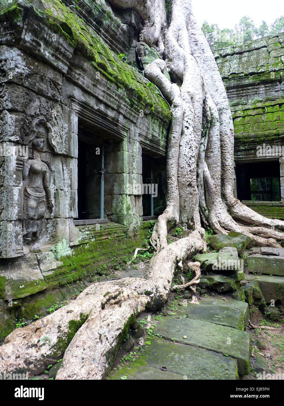 Ta Prohm ruins temple Stock Photo - Alamy