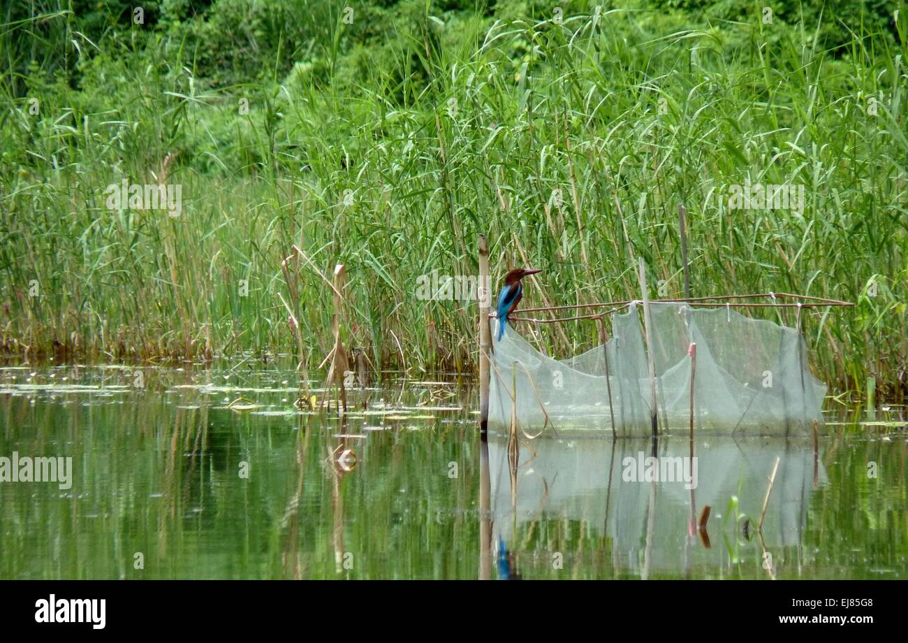 Fishnet stockings hi-res stock photography and images - Alamy