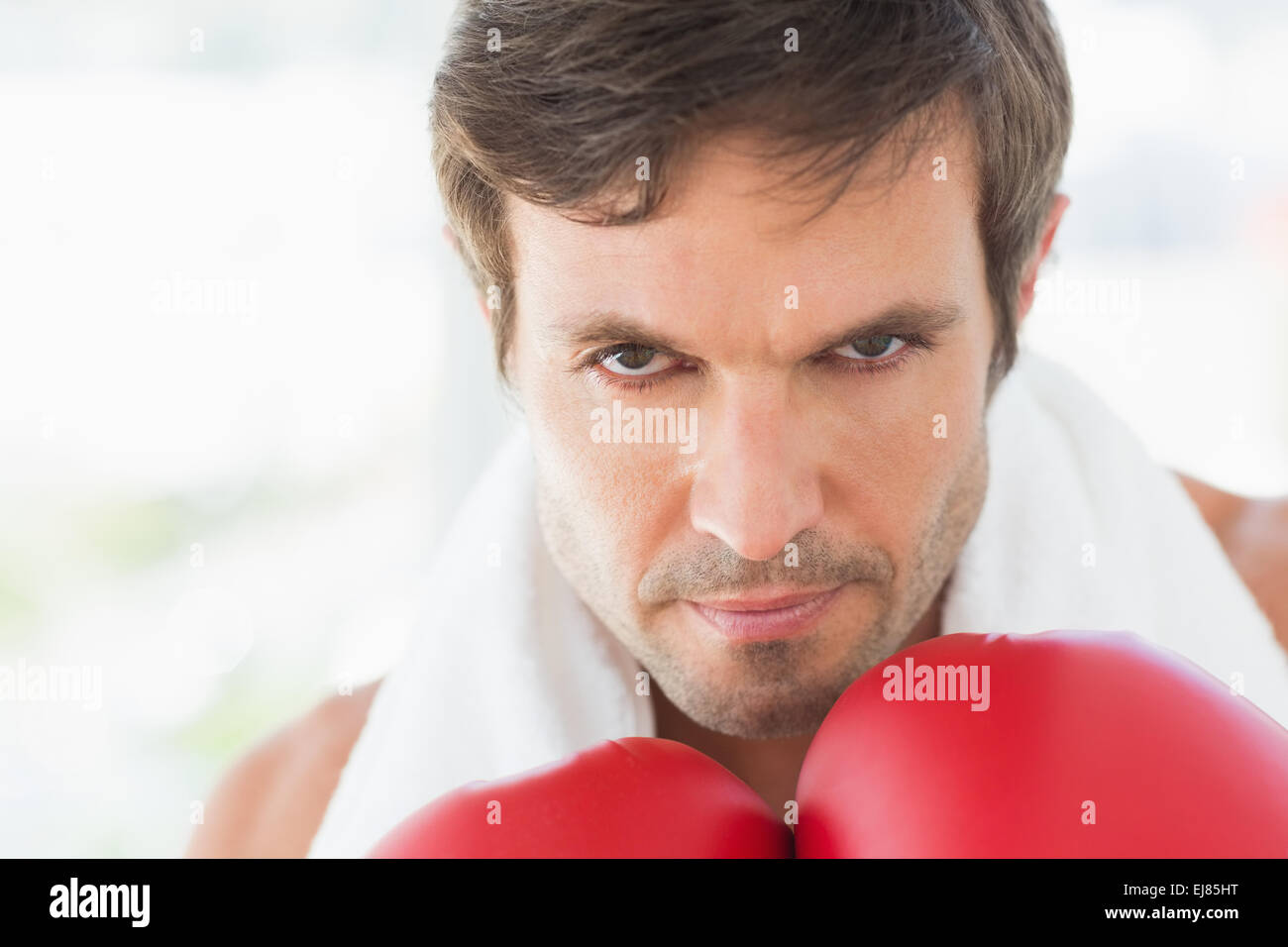 Closeup portrait of a determined male boxer Stock Photo - Alamy