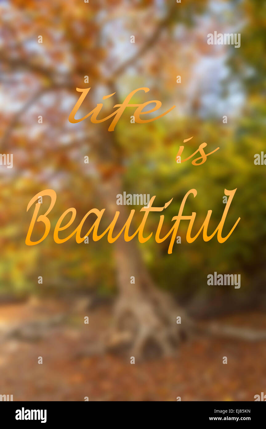 Life is beautiful text inscription Stock Photo - Alamy