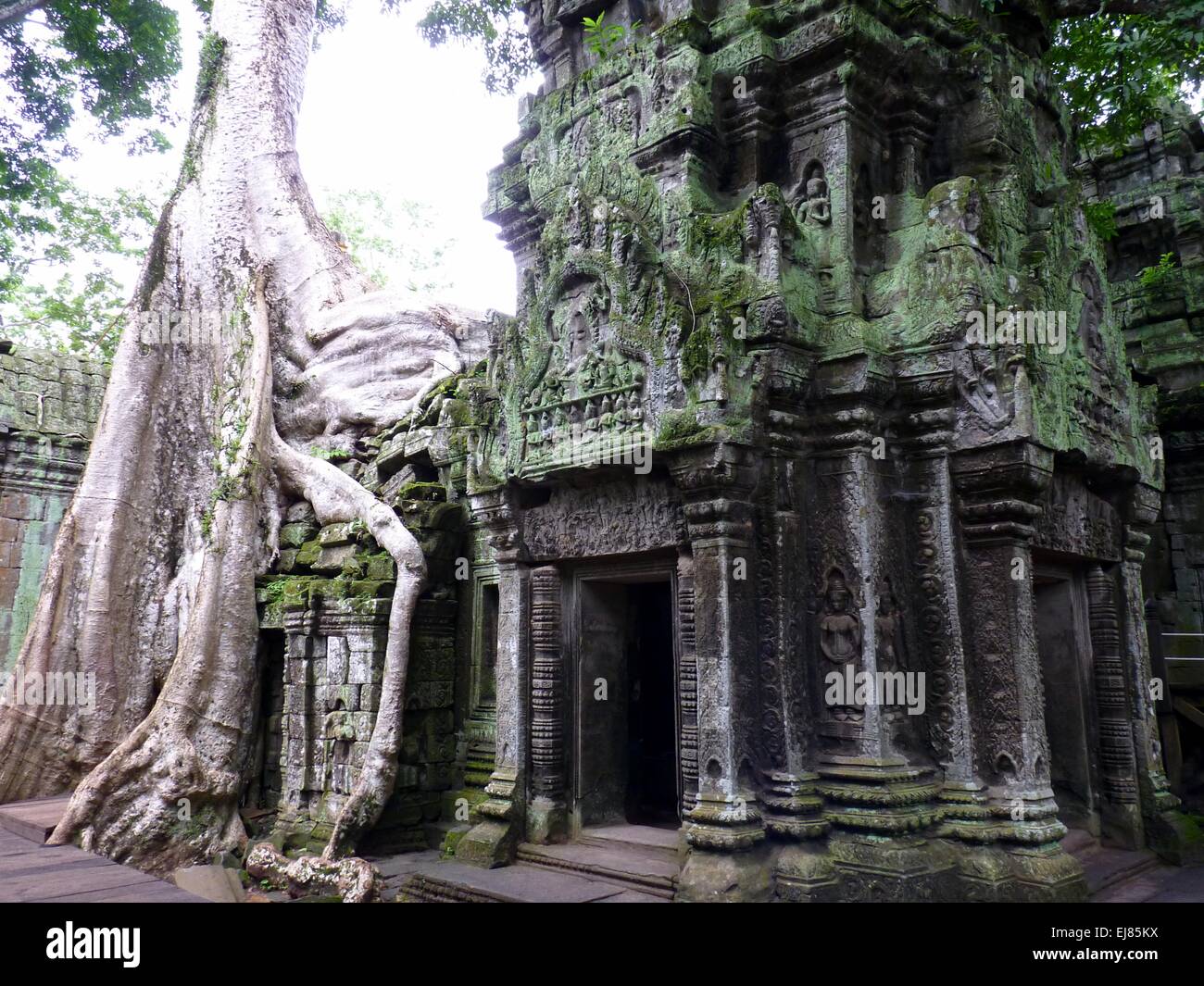 Ta prohm temple built hi-res stock photography and images - Alamy