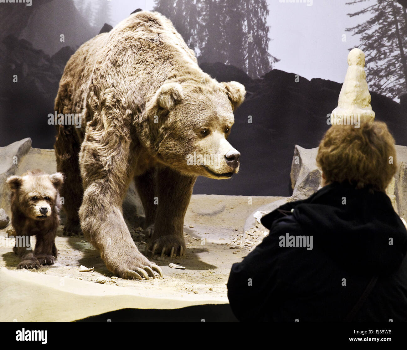 Cave museum hi-res stock photography and images - Alamy