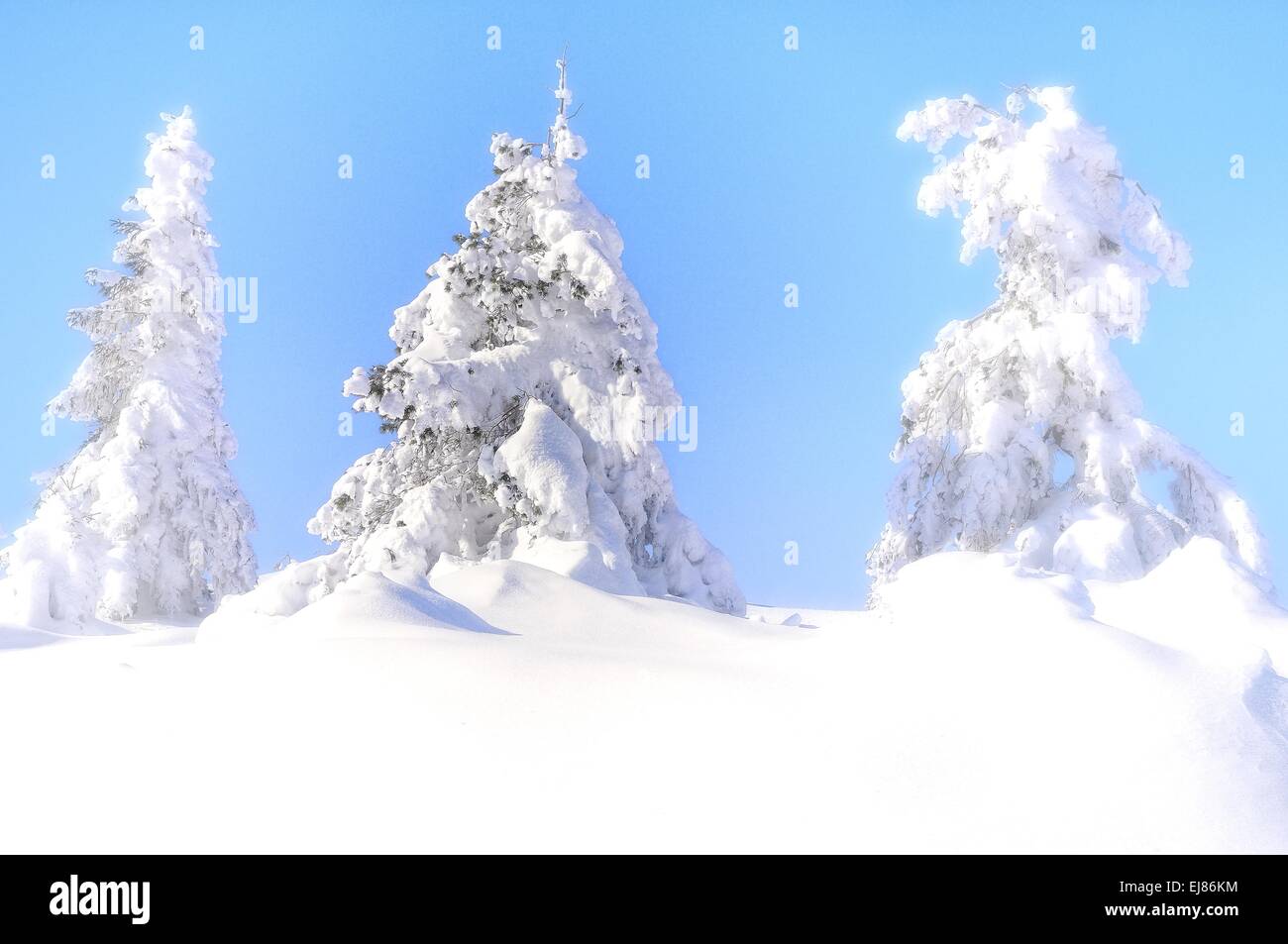 Focus areas hi-res stock photography and images - Alamy