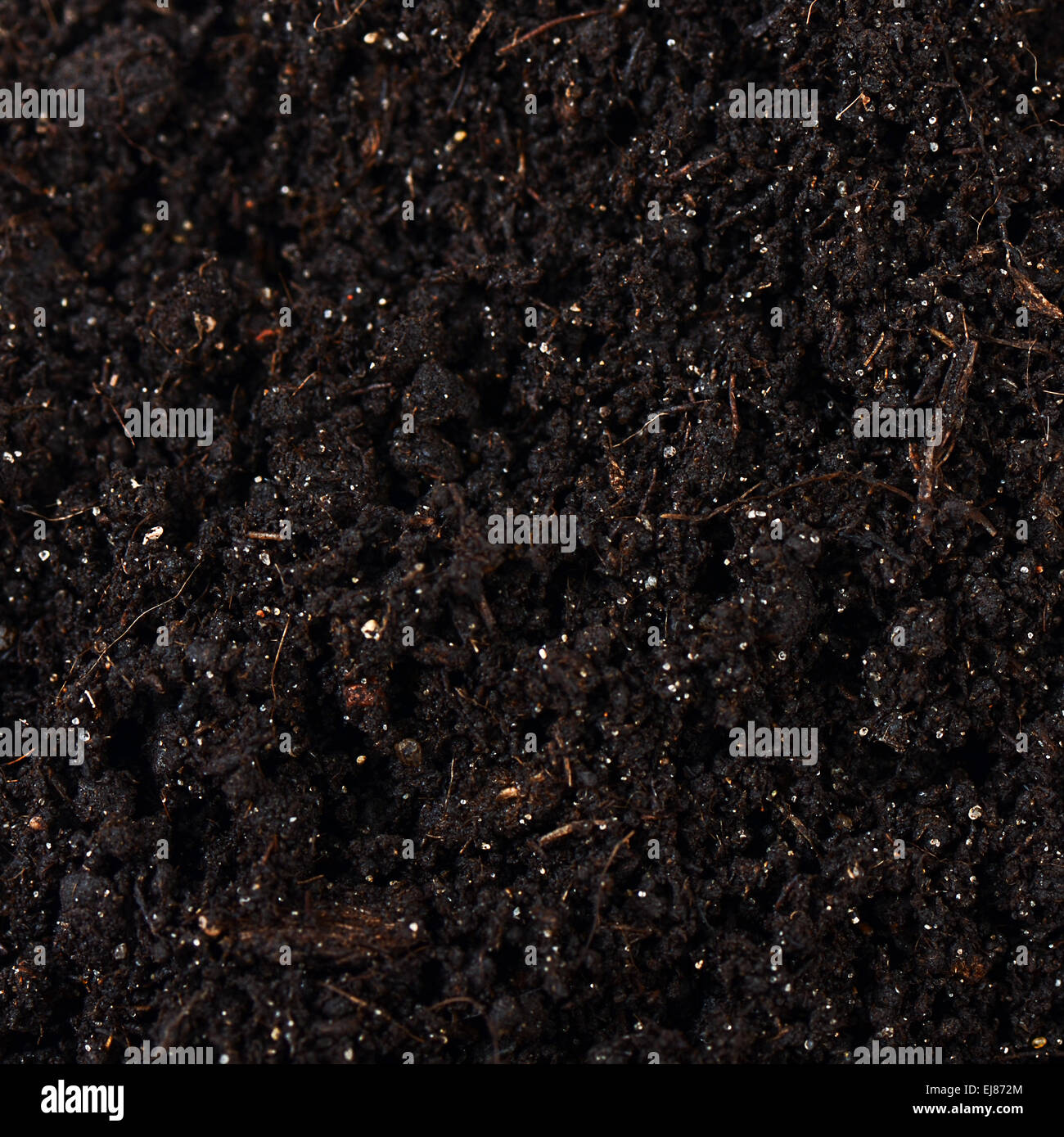 Black ground close up Stock Photo - Alamy