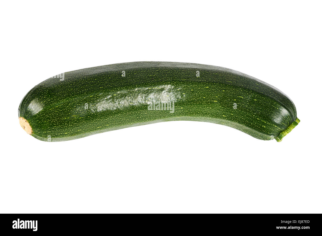 Green zucchini isolated on white background Stock Photo - Alamy