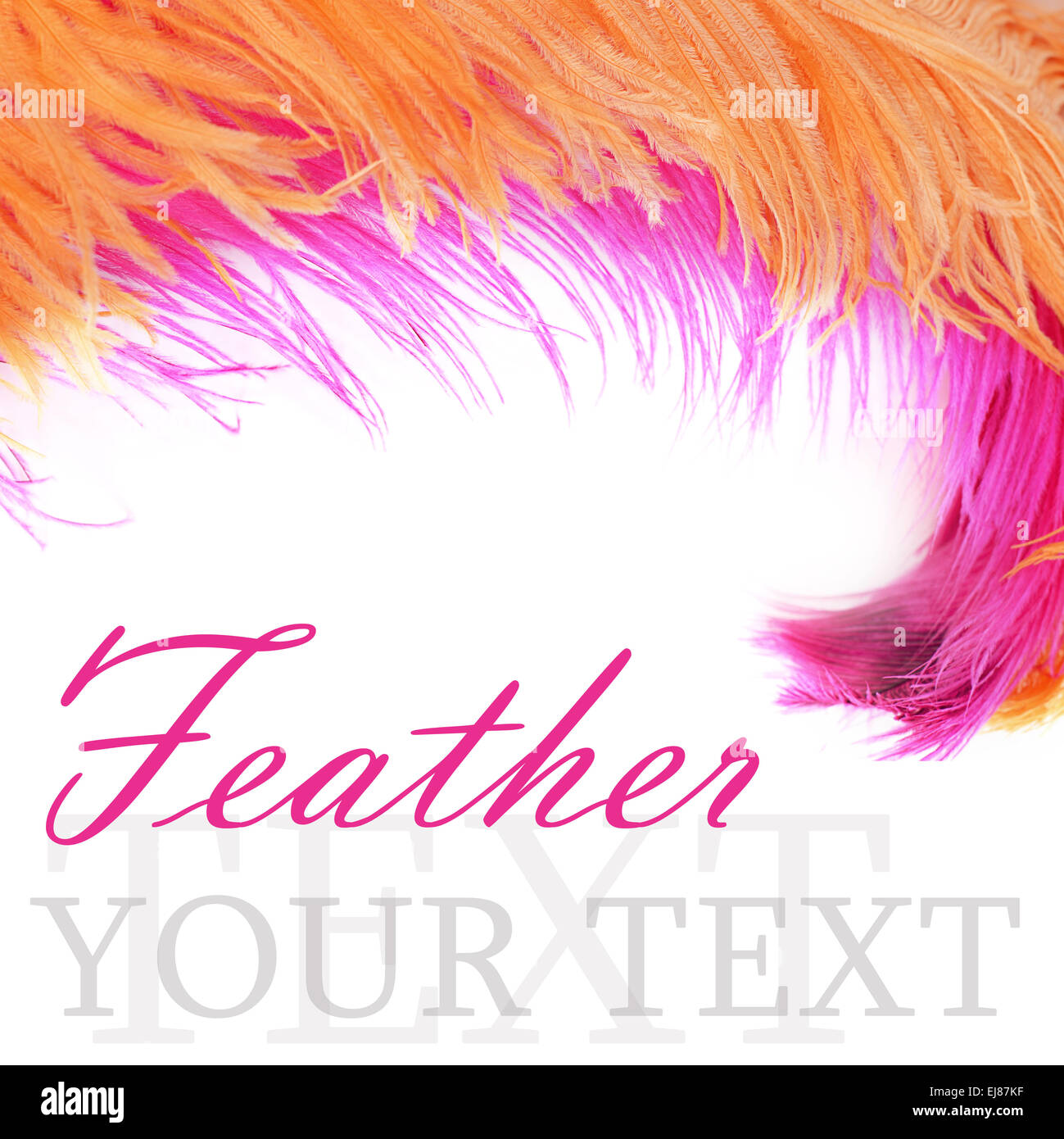 Purple isolated falling feather hi-res stock photography and images - Alamy