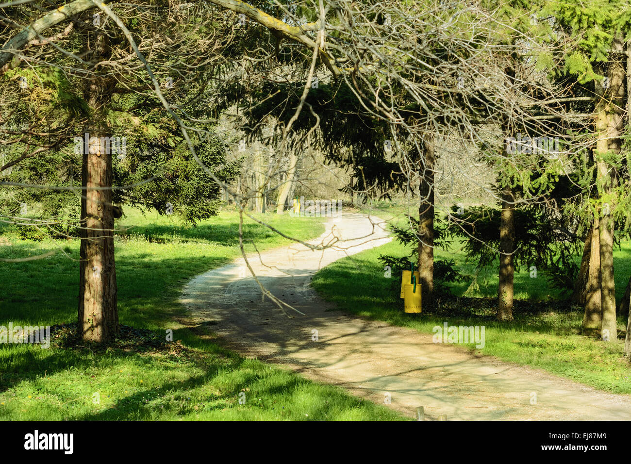The path in the park hi-res stock photography and images - Alamy