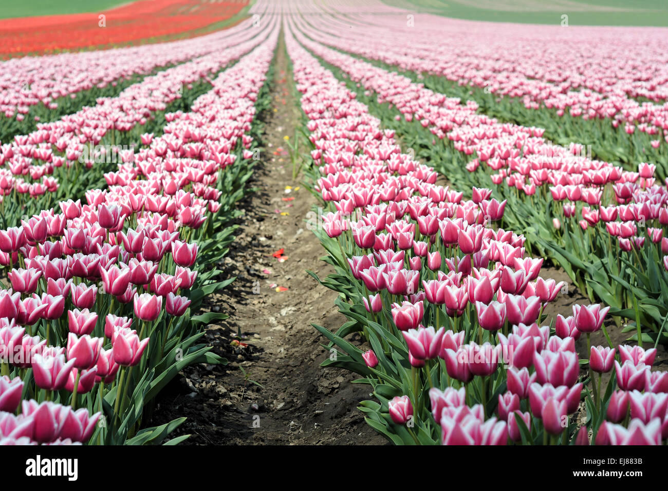 Co kommerziell hi-res stock photography and images - Alamy