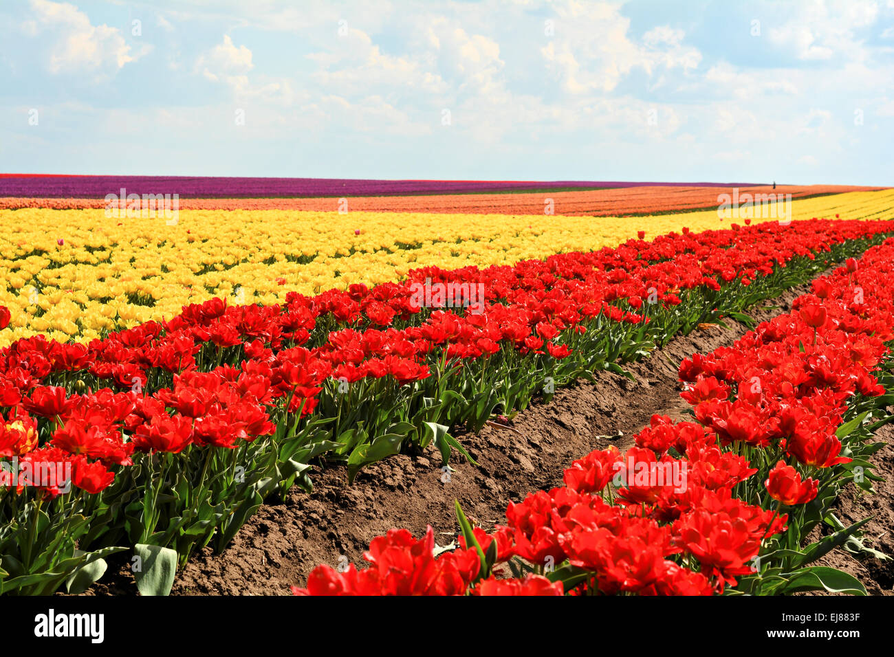 Commercial springtime hi-res stock photography and images - Alamy