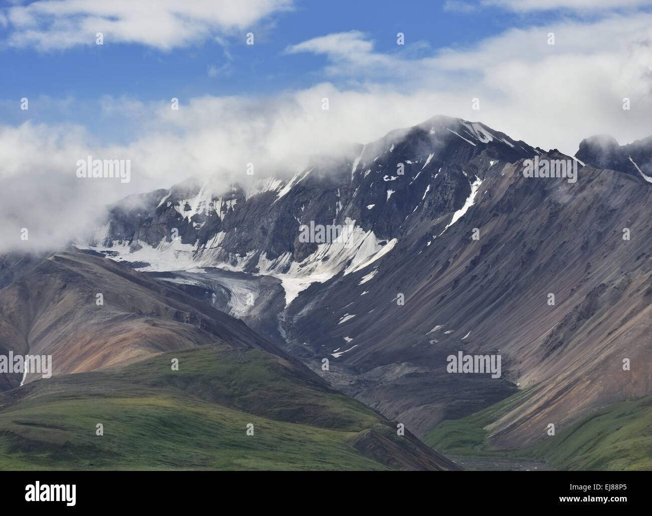 Alaska Landscape In Denali National Park Stock Photo - Alamy