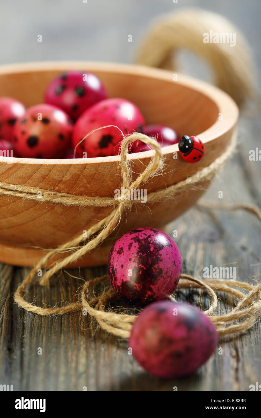 Ladybug eggs hi-res stock photography and images - Alamy