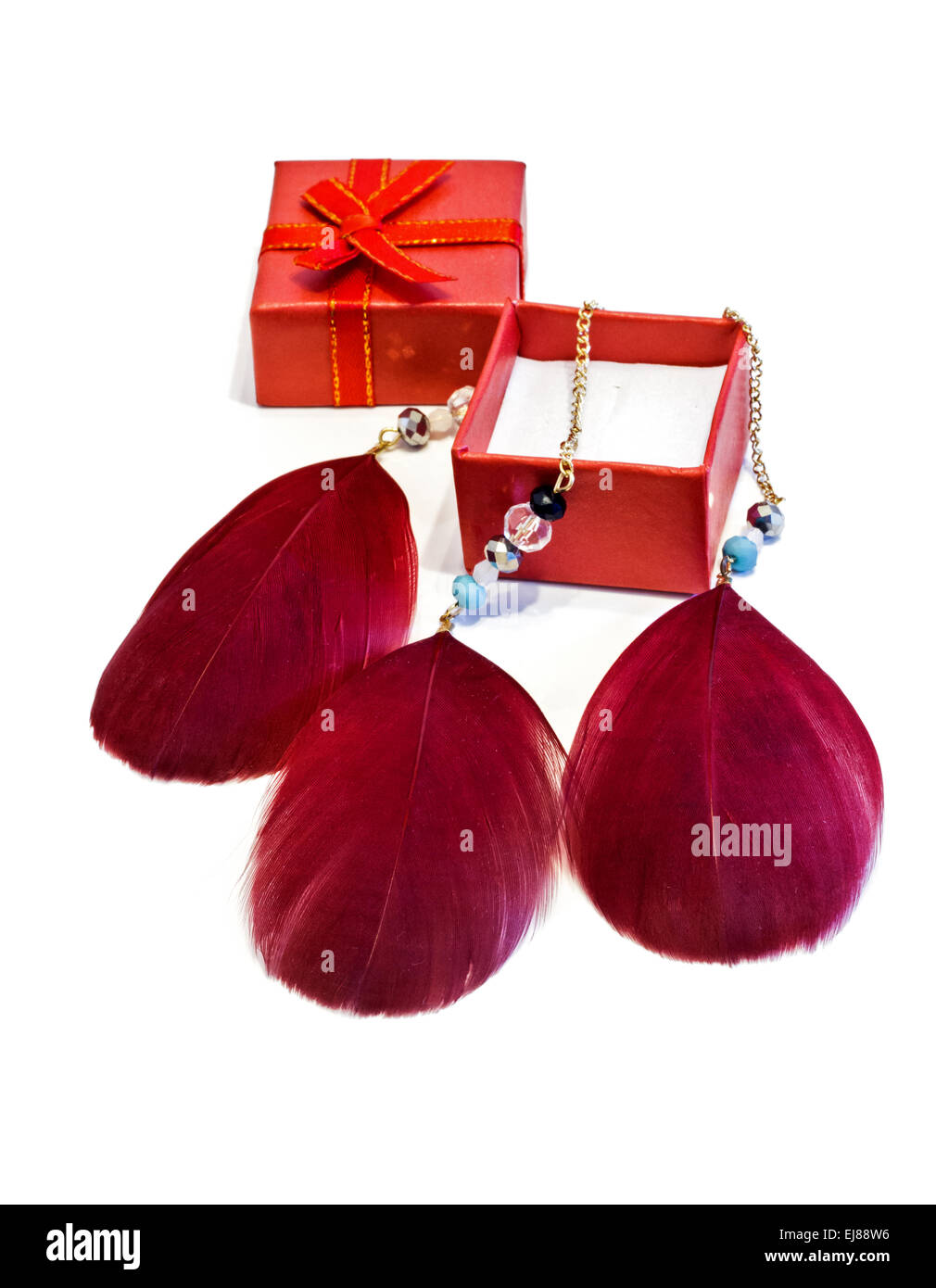 Female feathers Cut Out Stock Images & Pictures - Alamy