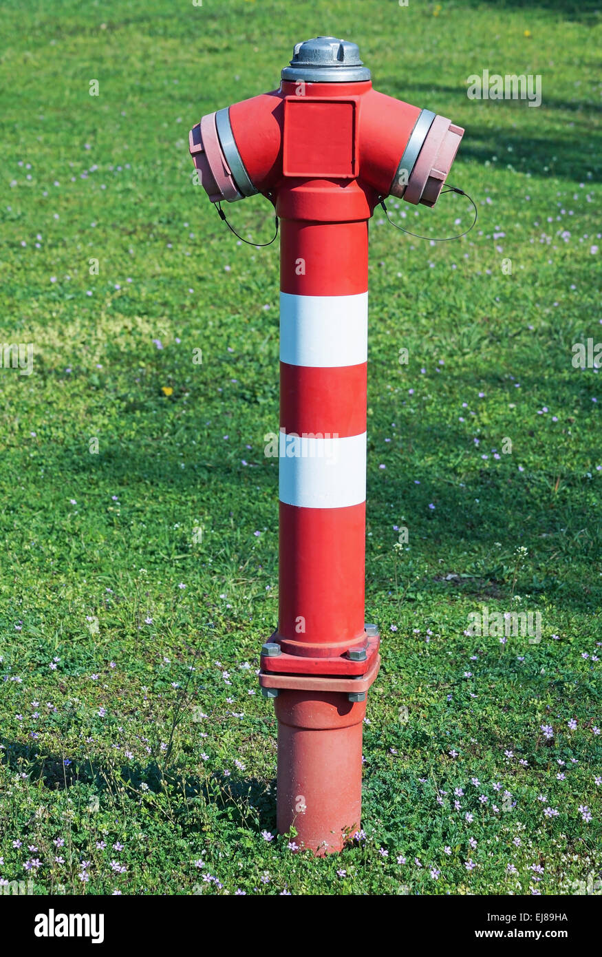 Fire hydrant in grass high hi-res stock photography and images - Alamy