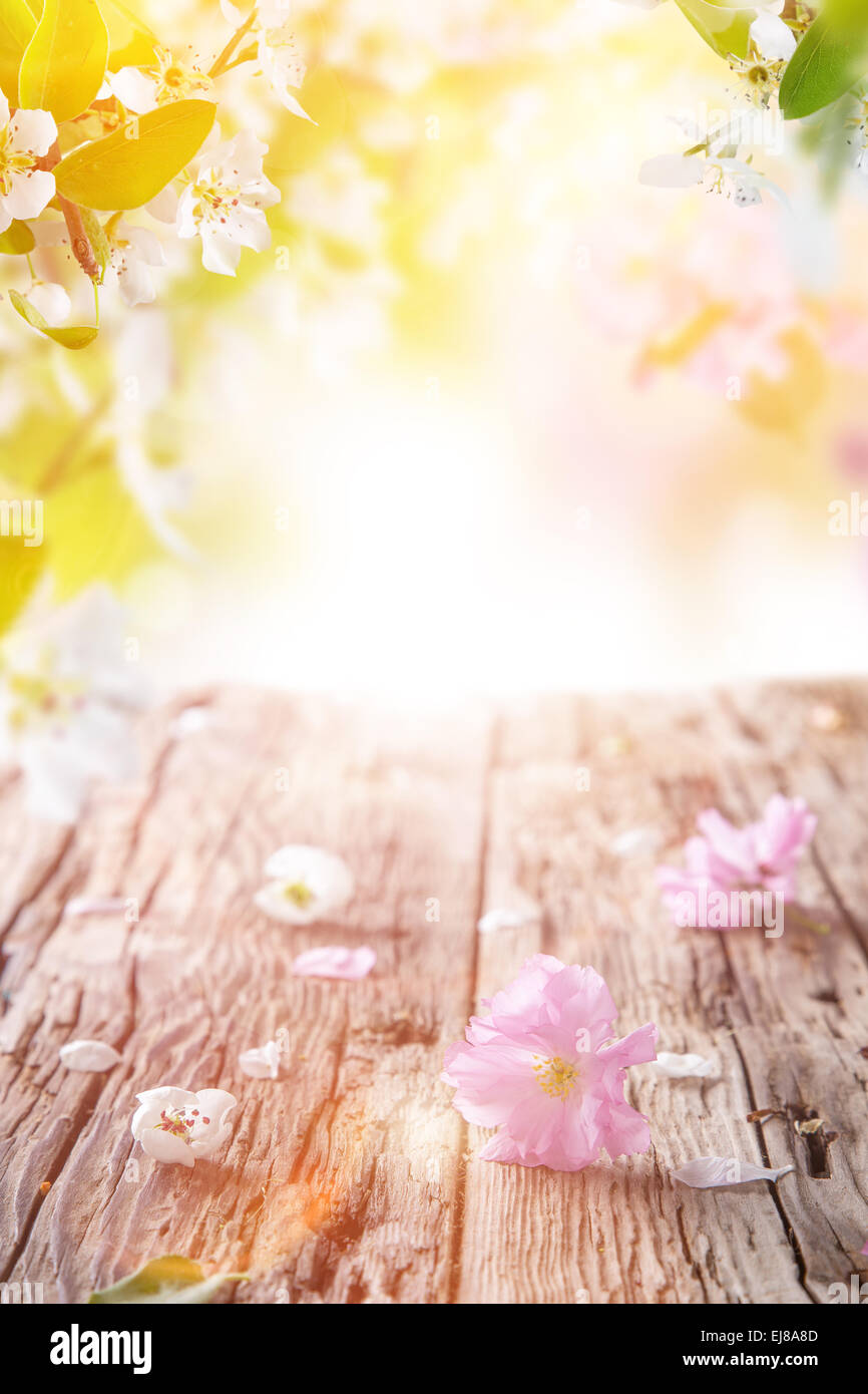Spring border background with beautiful blossom Stock Photo - Alamy