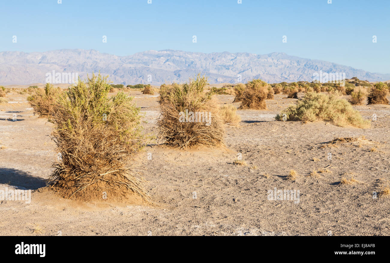 Death valley scenics hi-res stock photography and images - Alamy