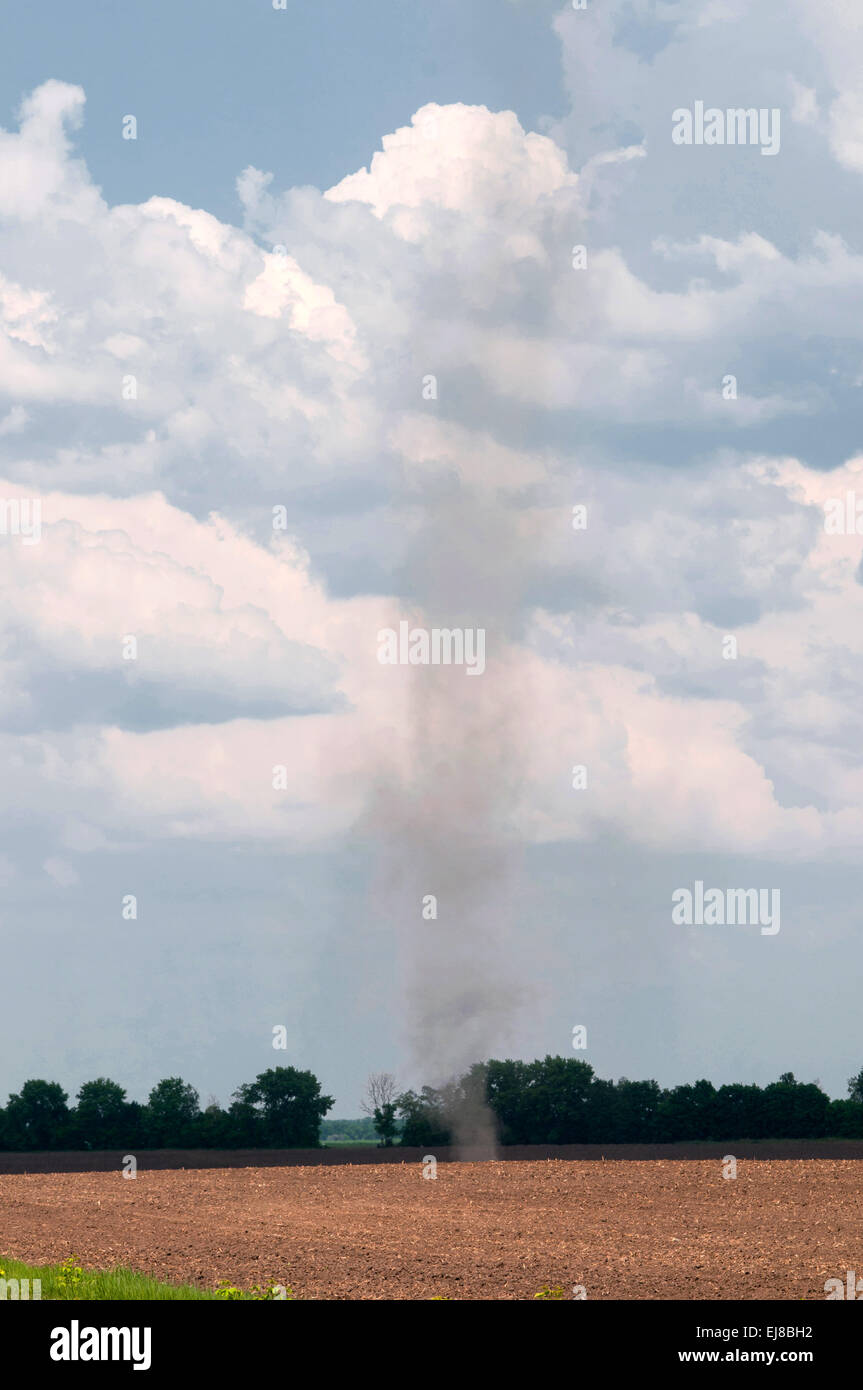 whirlwind of dust in the field Stock Photo - Alamy