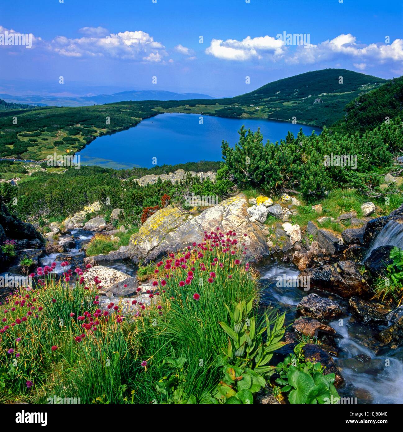 Natural beauty of bulgaria hi-res stock photography and images - Alamy