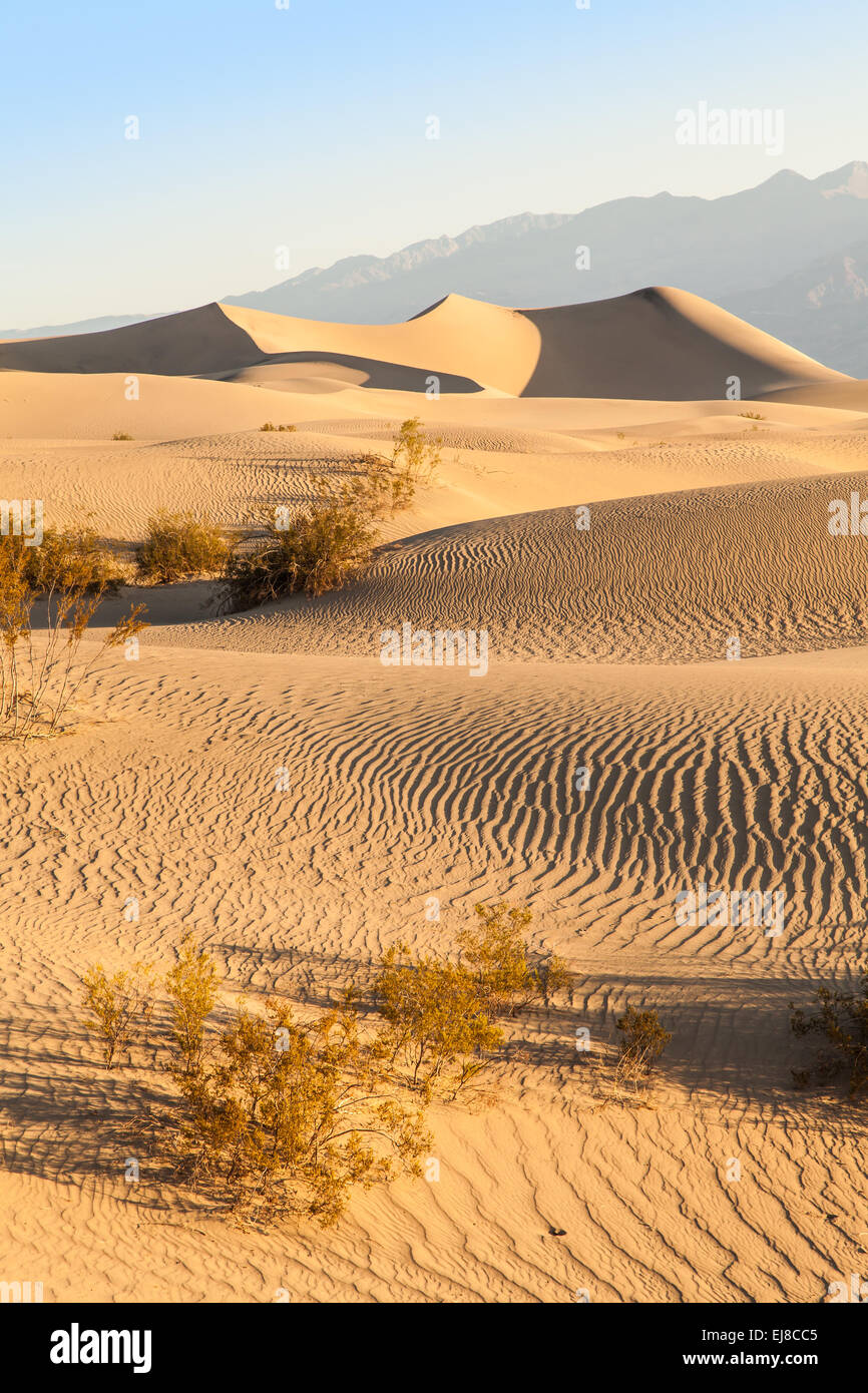 Death Valley Desert Stock Photo - Alamy