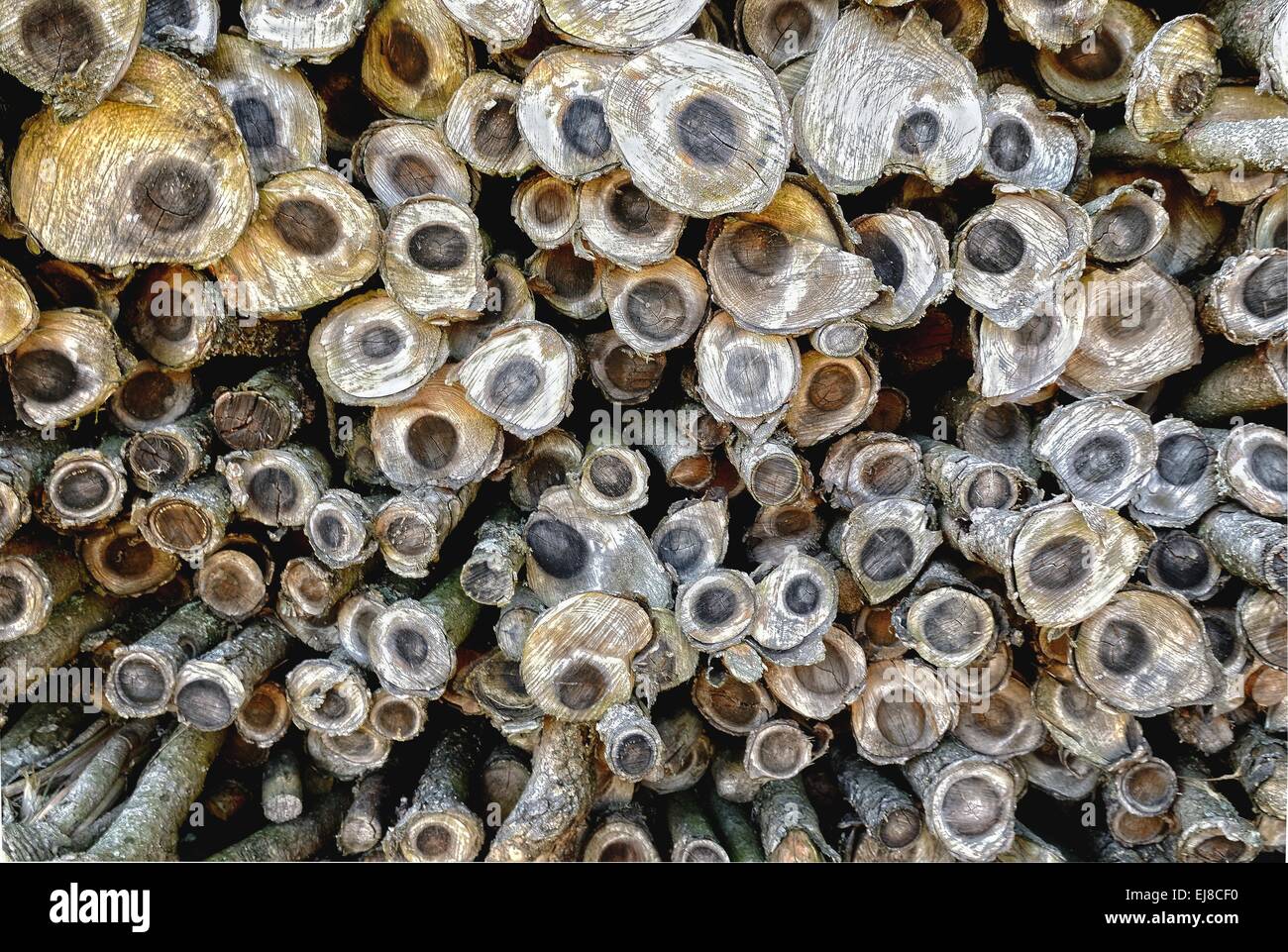 Ecological building renewable material hi-res stock photography and ...