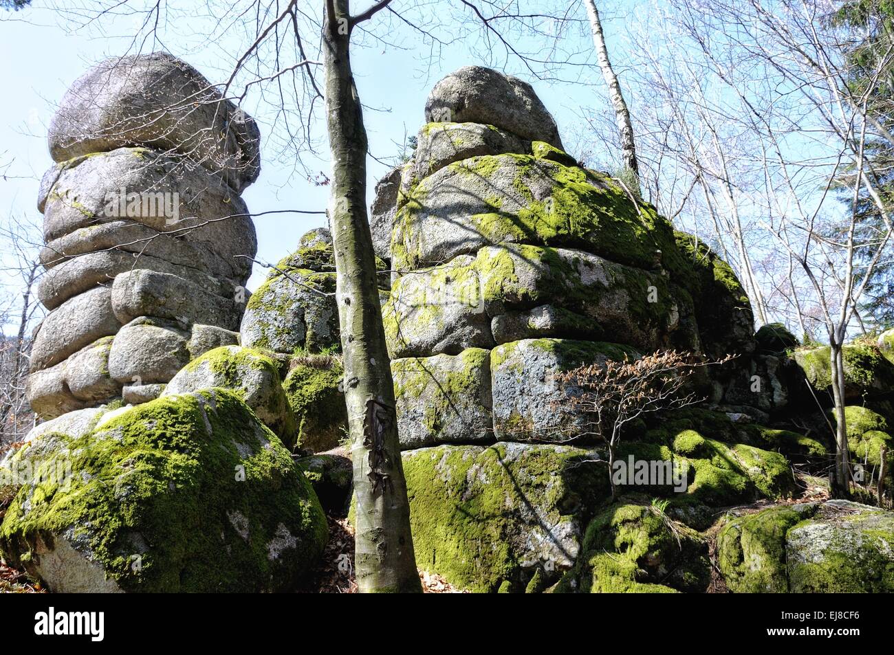 Elzach hi-res stock photography and images - Alamy