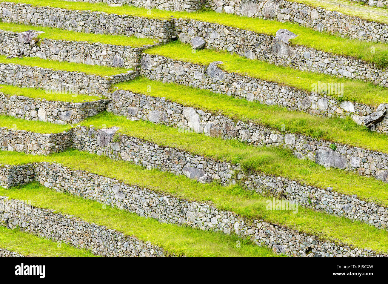 Inka terrassen hi-res stock photography and images - Alamy