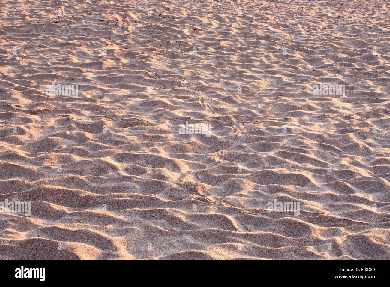 Abstract view of beach sand with sunlight and shadow Stock Photo - Alamy