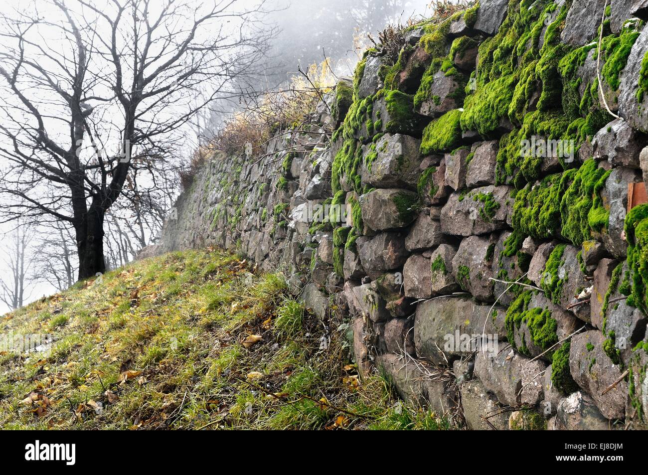 Wet mountain weather hi-res stock photography and images - Alamy