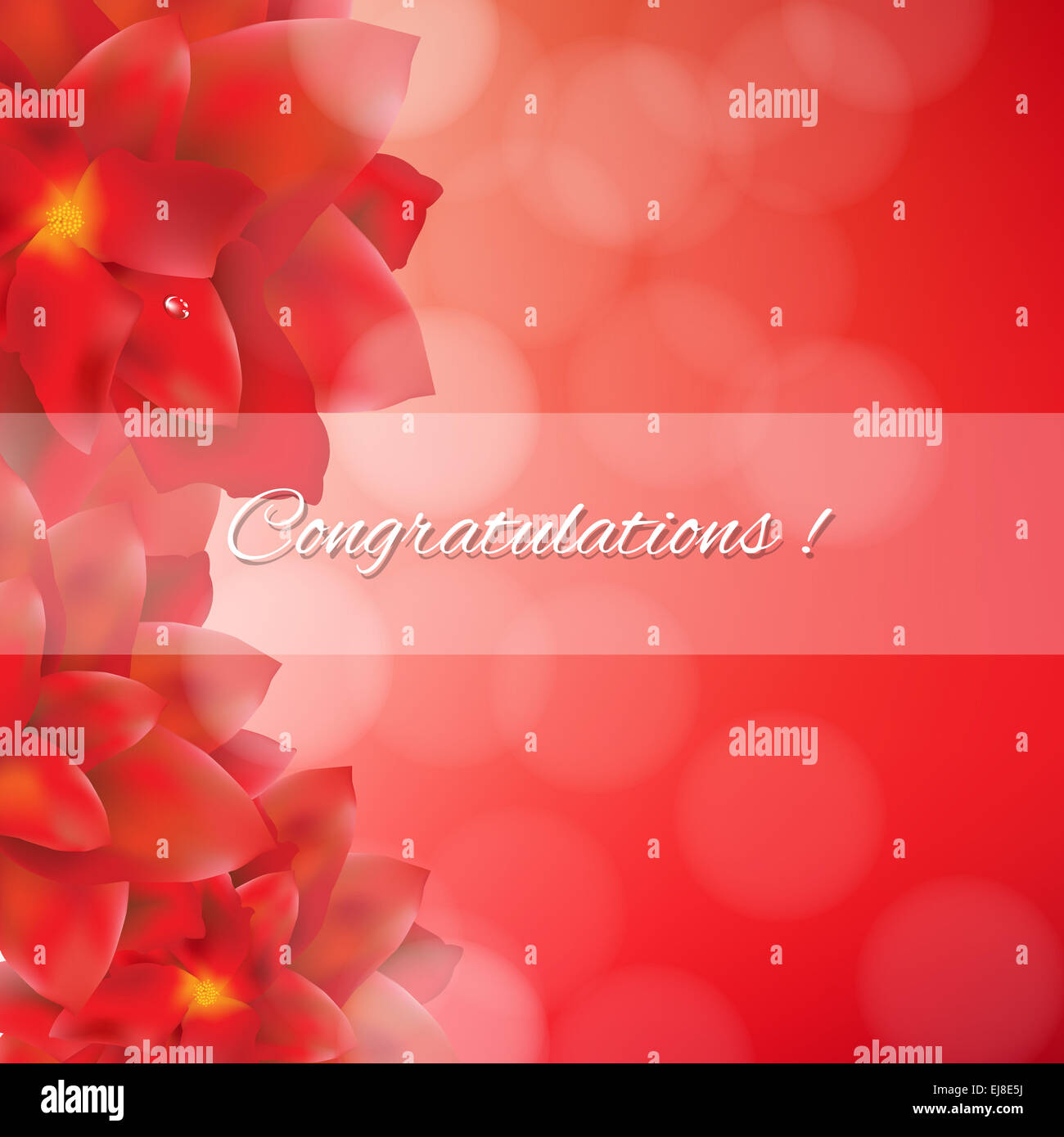 Red Flowers Card With Bokeh Stock Photo - Alamy