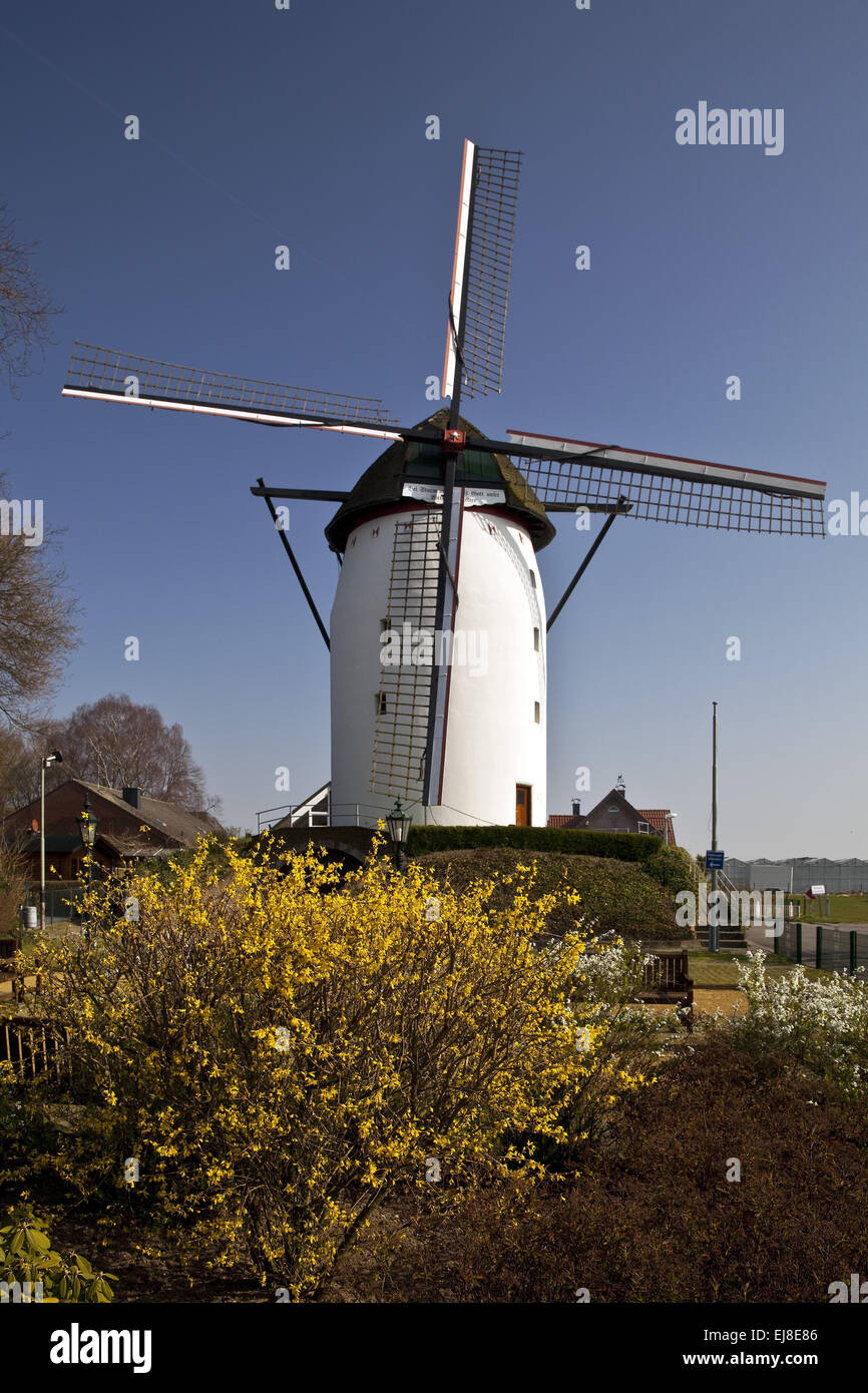 Windmill, Geldern, Lower Rhine, Germany Stock Photo - Alamy