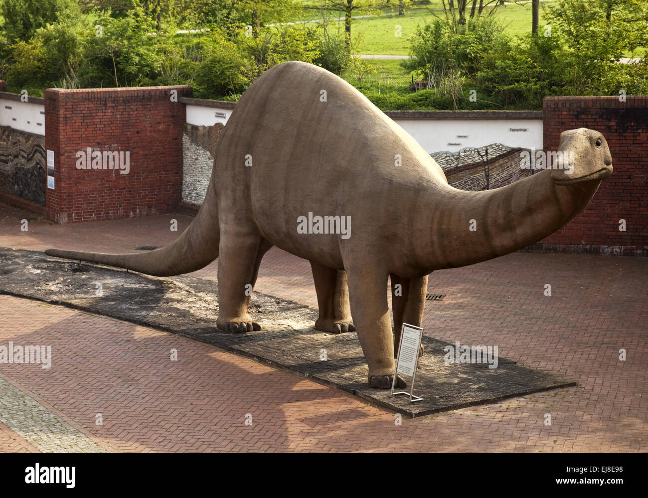 Westfalian museum of natural history hi-res stock photography and ...