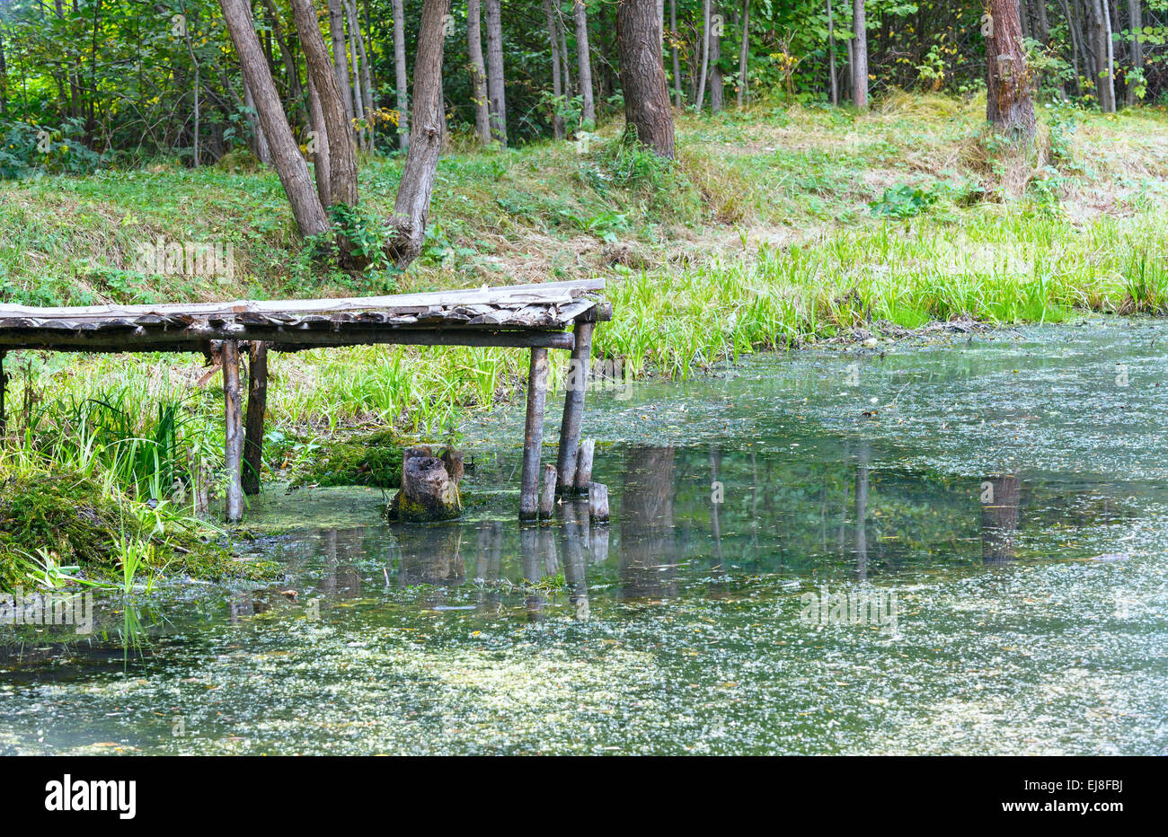 Dirty little lake Stock Photo - Alamy