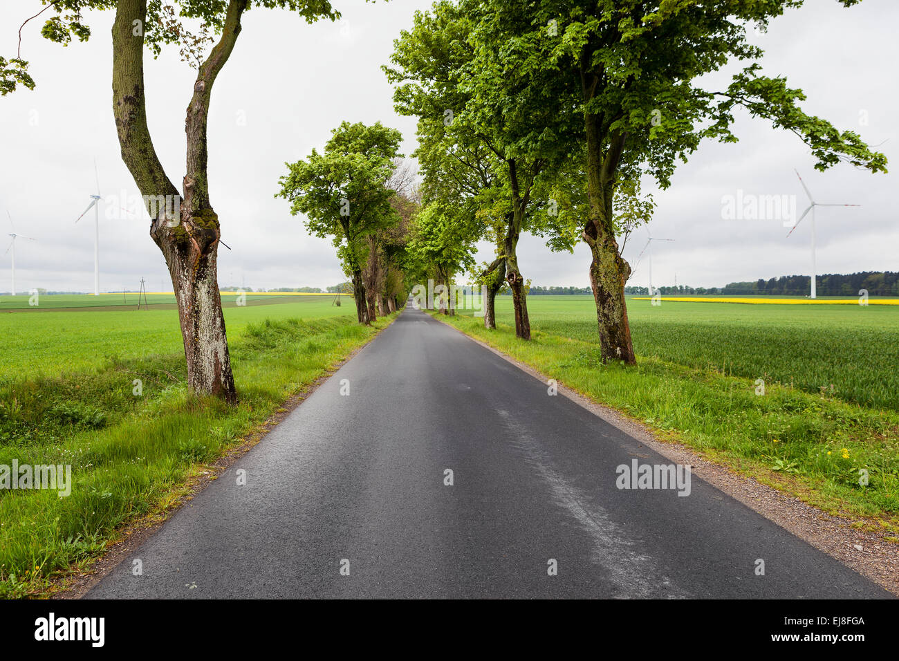 Windy road hi-res stock photography and images - Alamy